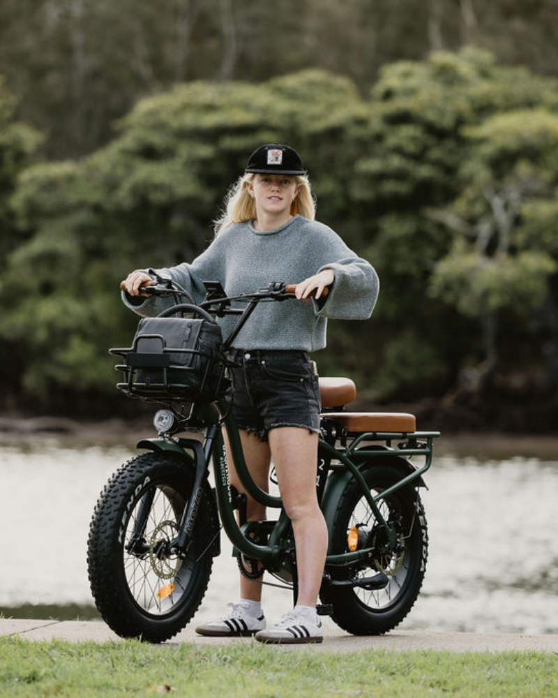 210 SERIES – Lighthouse Electric Bikes